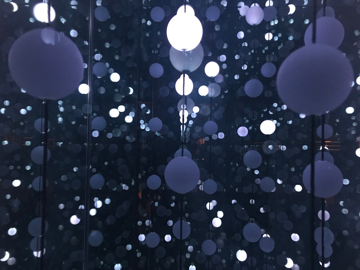 Eating Paper – The Wild Heart of Life